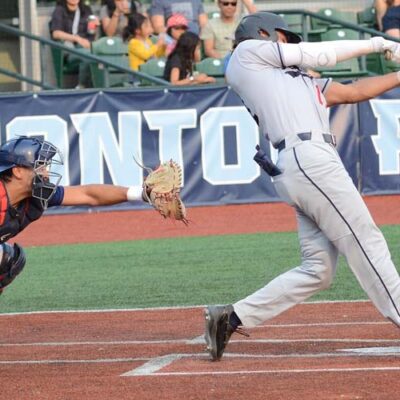 Kelowna Falcons – Baseball Lives Here